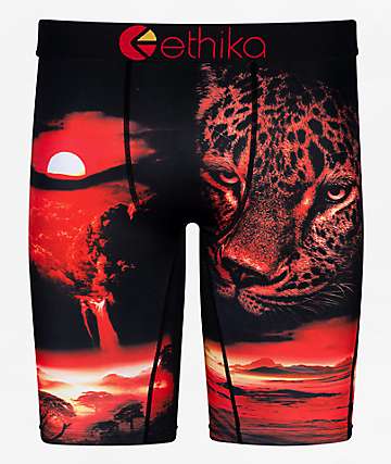Ethika Young Money Royal Family Boxer Briefs | Zumiez