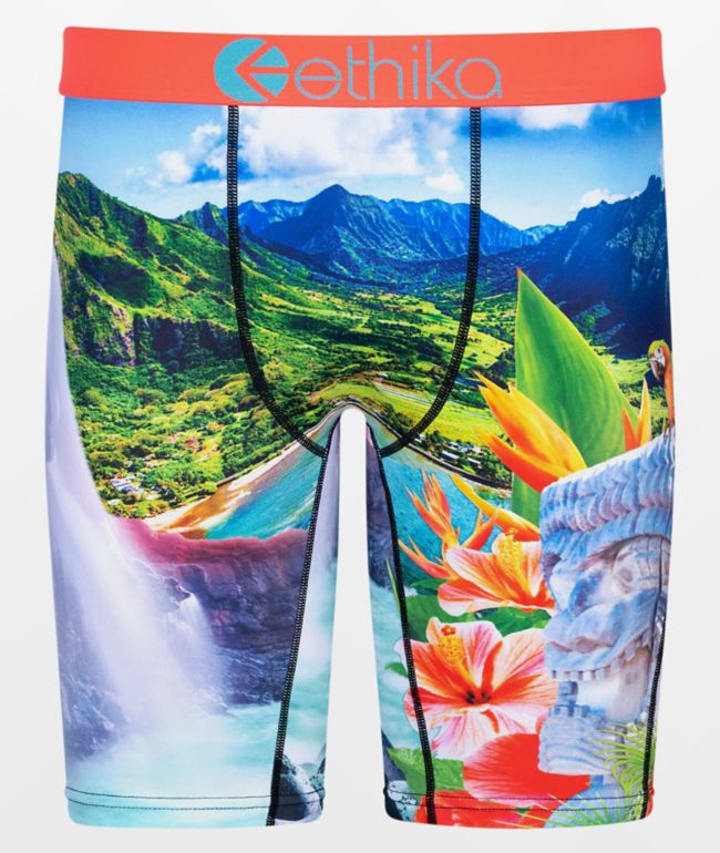 Pack Of Ethika Boxer Briefs at Sophia Hoff blog