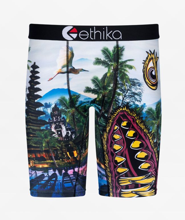 Ethika Kids BMR Crazy Paisley Boxer Briefs