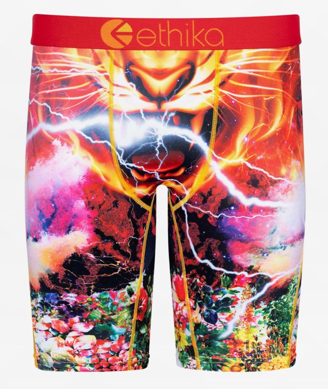 Ethika Kids On Holiday Boxer Briefs