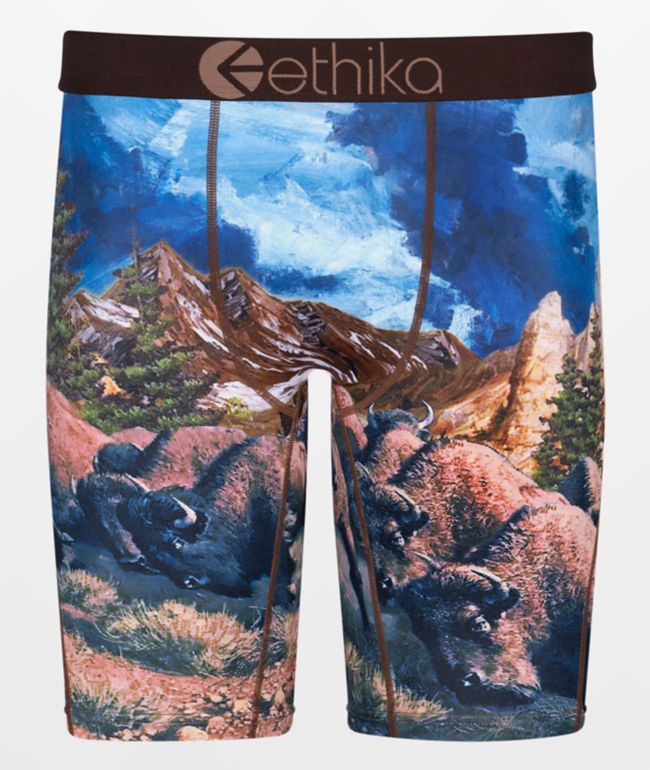 Ethika Higher Ed Black & Red Boxer Briefs