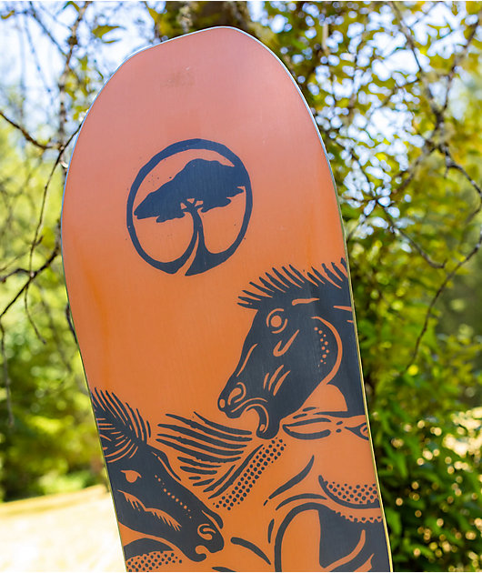 Arbor Carter Snowboard 2024 | Zumiez
