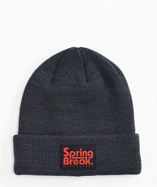 Capita Spring Break Dark Grey Beanie | Zumiez
