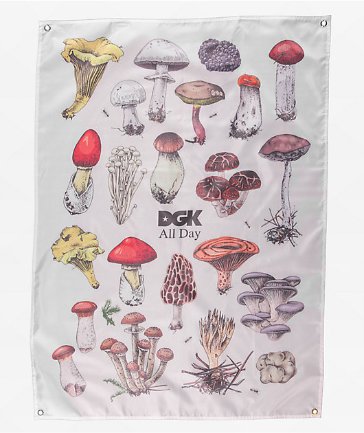 DGK Forage Banner | Zumiez