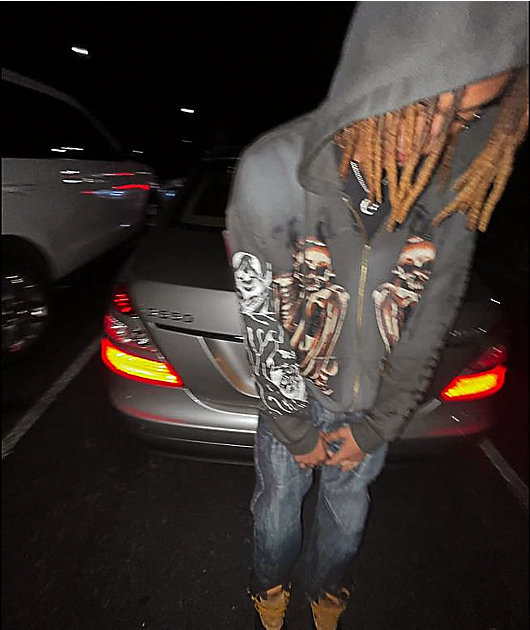 Ed Hardy Skeletons Sunfade Grey Zip Hoodie | Zumiez