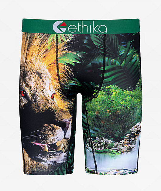 Ethika Kids King Chillin Boxer Briefs | Zumiez