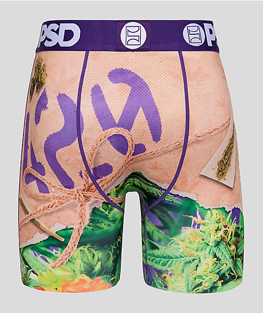 PSD 420 Stash Boxer Briefs | Zumiez