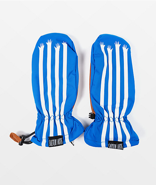 Salmon Arms Classic Blue & White Stripe Snowboard Mittens | Zumiez