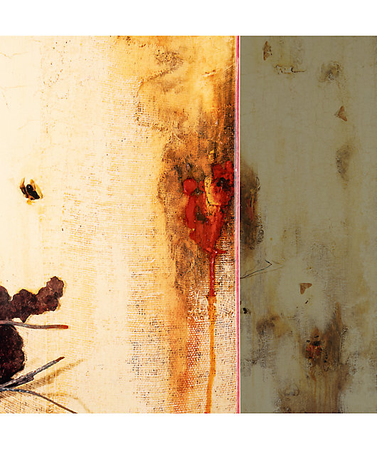 Welcome x Nine Inch Nails TDS Album Cover 9.0" Skateboard Deck | Zumiez