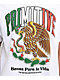 Primitive Collegiate Mexico White T-Shirt | Zumiez