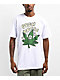 Push Trees Stay Smokin Black T-Shirt | Zumiez